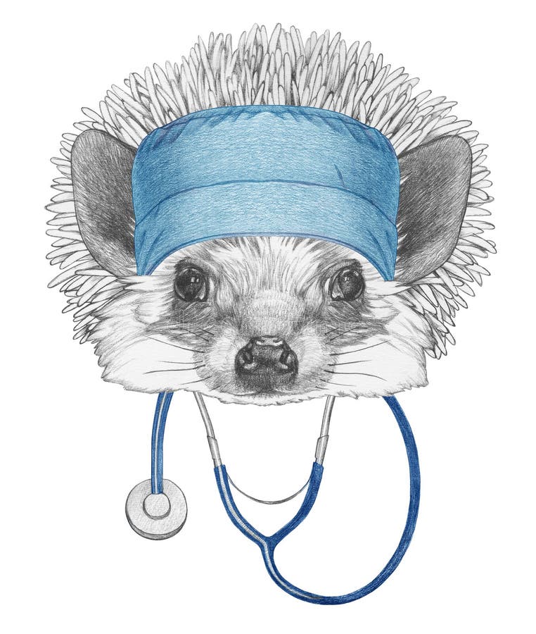 Hedgehog Doctor Stock Illustrations – 43 Hedgehog Doctor Stock ...