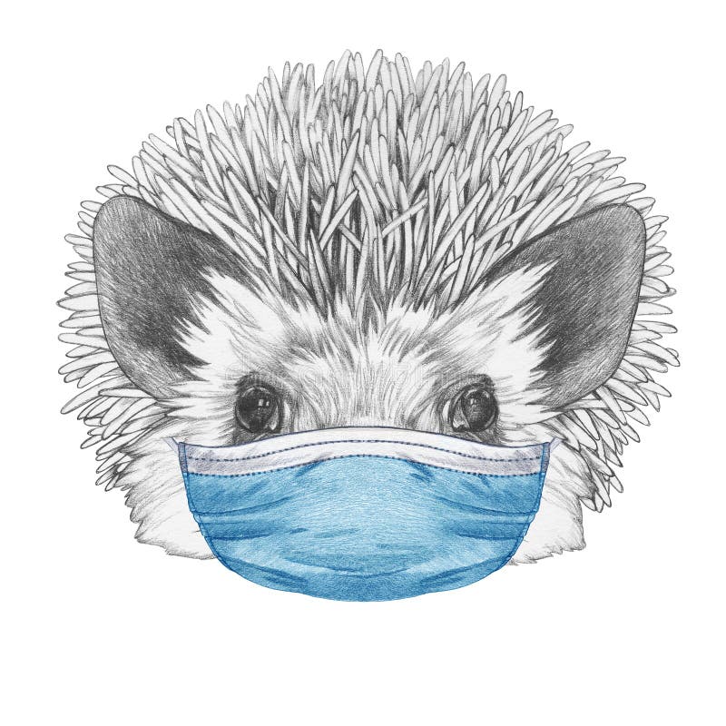Portrait of Hedgehog with a Face Mask. Hand-drawn Illustration. Stock ...