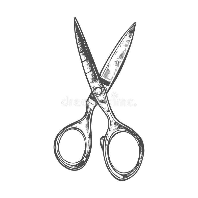 Elegant Vintage Scissors, Hand Drawn Illustration for Design Stock ...