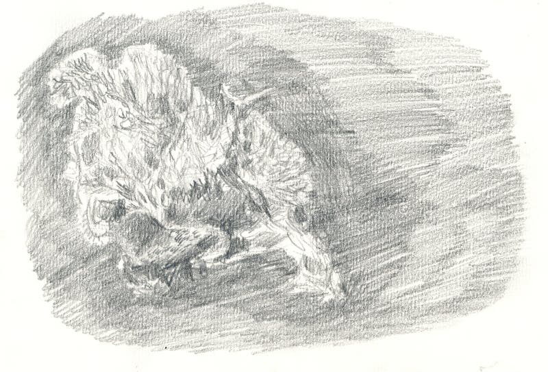 Moss Sketch Stock Illustrations – 1,024 Moss Sketch Stock Illustrations ...