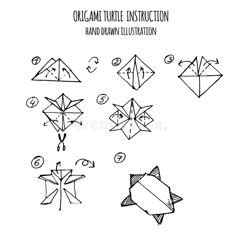 Hand Drawn Illustration Step by Step of Turtle Origami Stock Vector ... Hand Drawn Illustration Step by Step of Turtle Origami Stock Vector ...