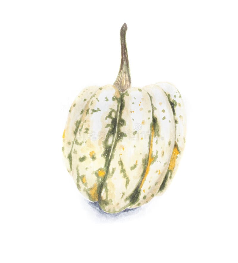 Sweet Dumpling Stock Illustrations – 1,818 Sweet Dumpling Stock ...