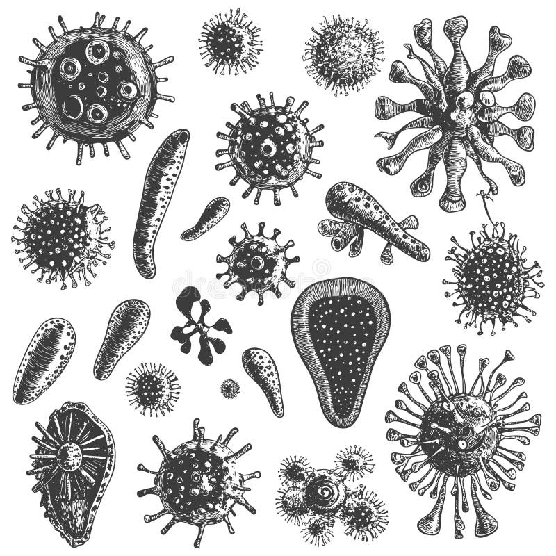Collection of Various Virus and Bacteria Microscopic Illustrations ...