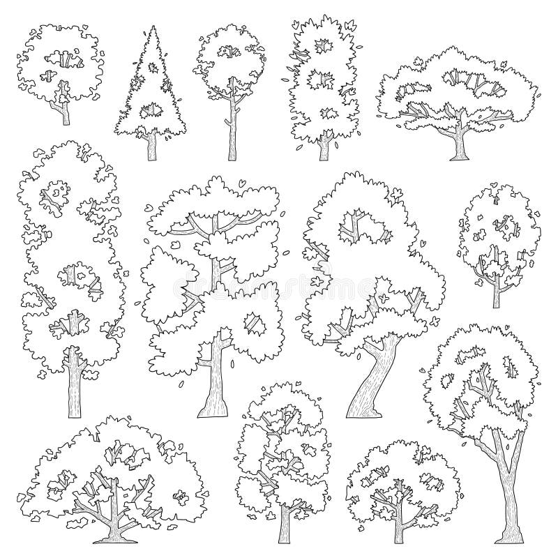 Hand Drawn Illustration Vector Set of Side View Trees Stock Vector ...