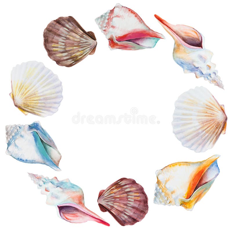 Hand Drawn Illustrations Round Frame of Seashells. Shells Set, Beach ...
