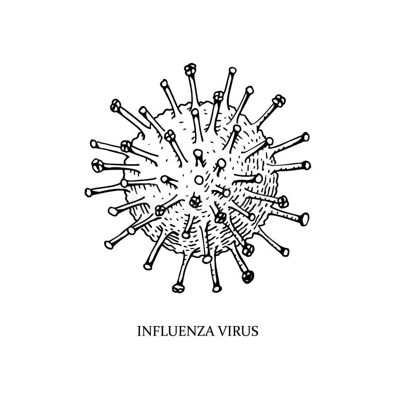 Hand Drawn Influenza Virus Illustration with Name in Sketch Style ...