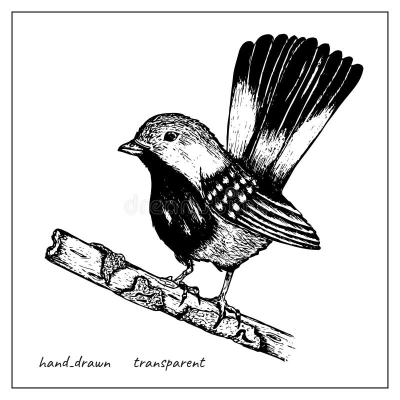 Hand-drawn Ink Bird. Vector Illustration of a Bird on a Tree Branch ...