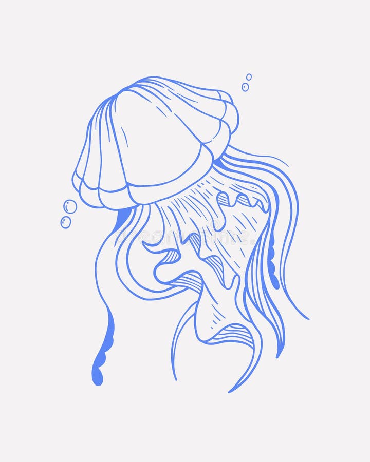 Hand Drawn Jellyfish Doodle Illustration. Stock Vector - Illustration ...