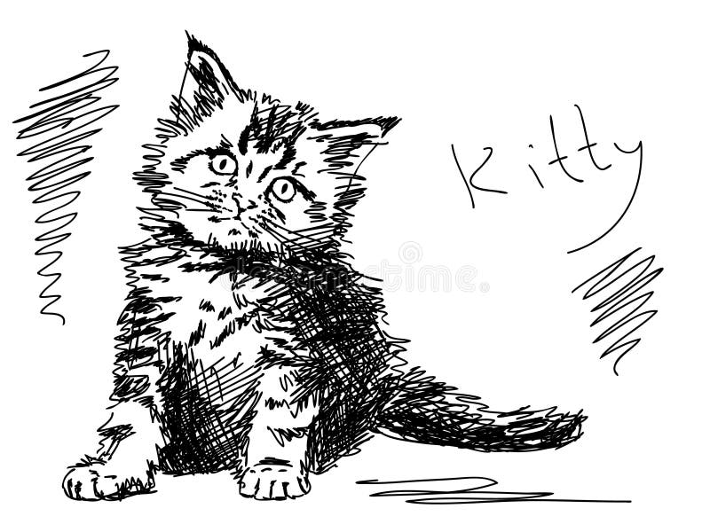 Hand drawn kitty cat stock vector. Illustration of hand - 40253100