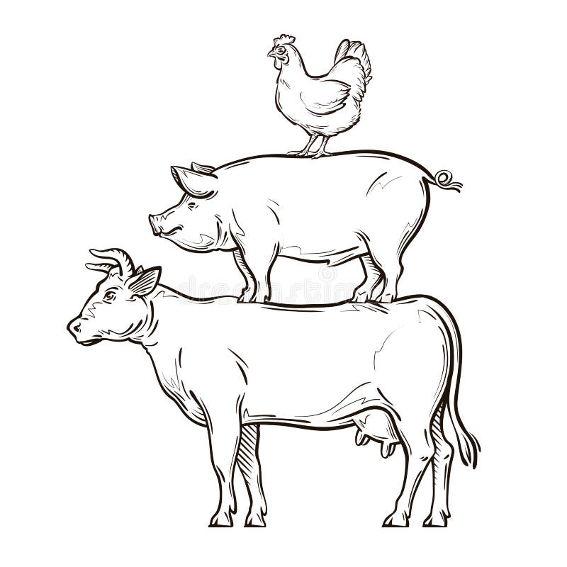 Hand-drawn Koe, Varken, Kip Vector Illustratie Vector Illustratie ...