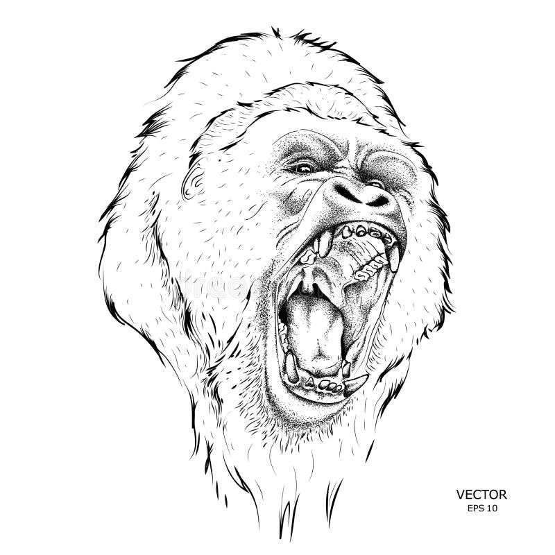 Rage Monkey Stock Illustrations – 74 Rage Monkey Stock Illustrations ...