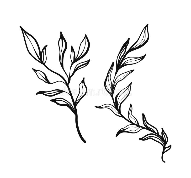 Hand-drawn Leafy Branches Design. Vector Illustration Stock ...