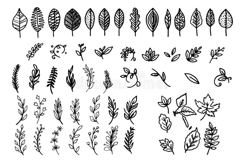Simple hand drawn leaves stock illustration. Illustration of herb ...