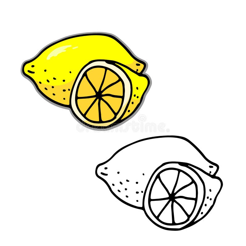 Lemon Doodle Sketch Illustration. Vector Hand Drawn Outline Fruit Stock ...