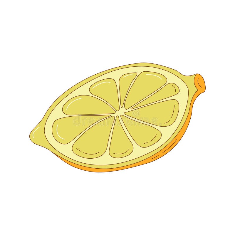 Hand Drawn Lemon Slice Fruit Vector Illustration. Creative Hand Drawn ...