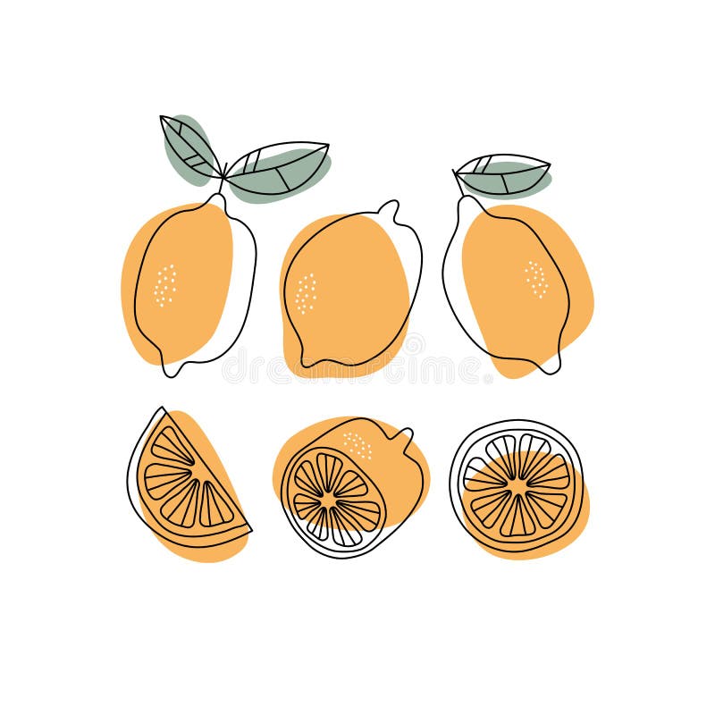 Hand Drawn Lemon, Whole, Half and Slice. for Home Decor or Cards. Stock ...