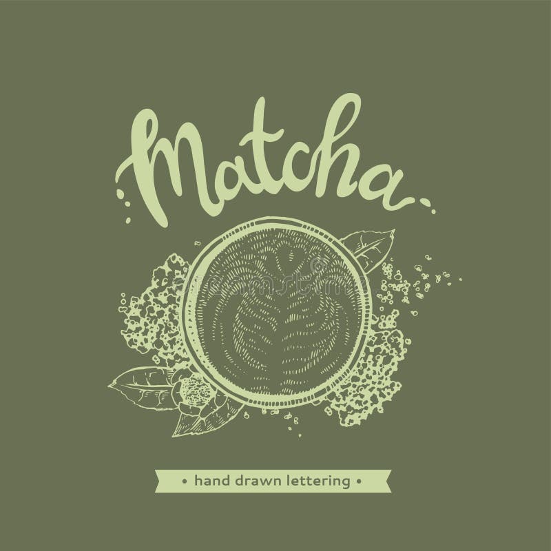 Lettering Matcha Time on a Cup with Steam. for Logo, Cafe, Invitation ...