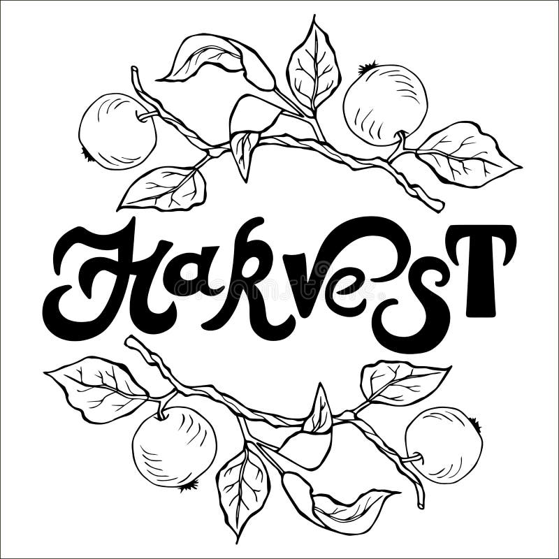 Harvest Text with Grapes Wreath. Stock Illustration - Illustration of ...