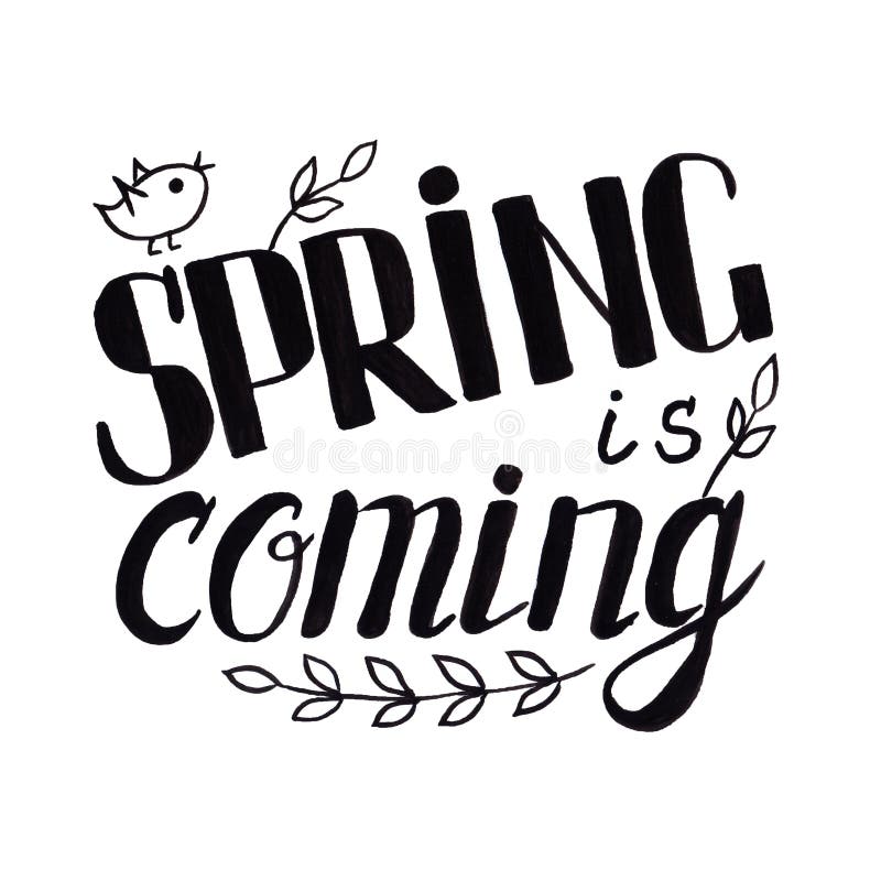 Hand Drawn Lettering SPRING is COMING Decorated with Twigs and Bird ...