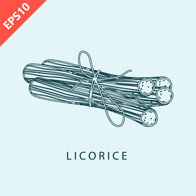 Licorice Root Icon Stock Illustrations – 167 Licorice Root Icon Stock ...