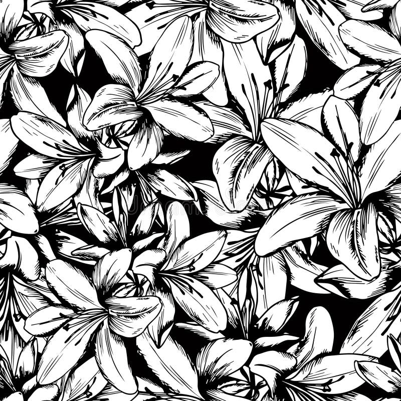Hand Drawn Lilies Endless Patternhand Drawn Lilies Endless Pattern ...