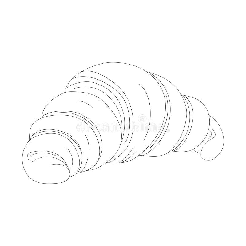 Hand Drawn Line Croissant. Vector Illustration of Bakery Product Stock ...