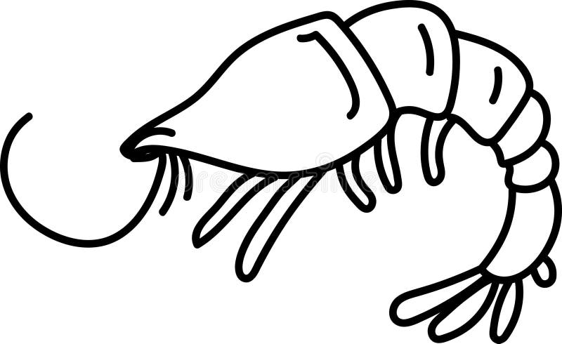 Hand Drawn Line Shrimp stock vector. Illustration of crab - 370089023