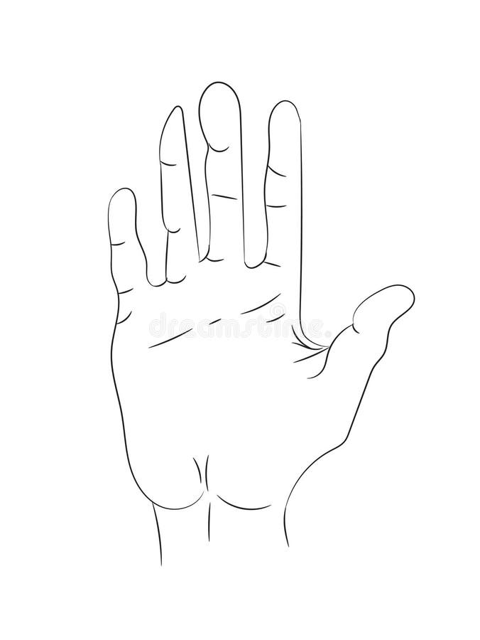 Human Hand Drawing Lines, Vector Stock Vector - Illustration of holding ...