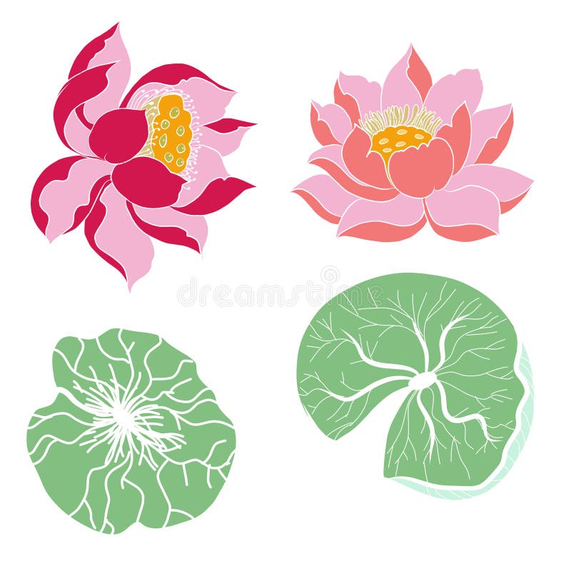 Japanese Lotus Tree Stock Illustrations – 399 Japanese Lotus Tree Stock ...