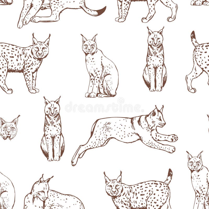Vector Pattern with Sketch Lynx Stock Vector - Illustration of spots ...