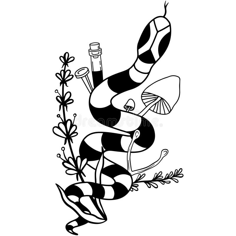 Hand Drawn Magical Composition with a Snake, Magical Herbs, Mushrooms ...