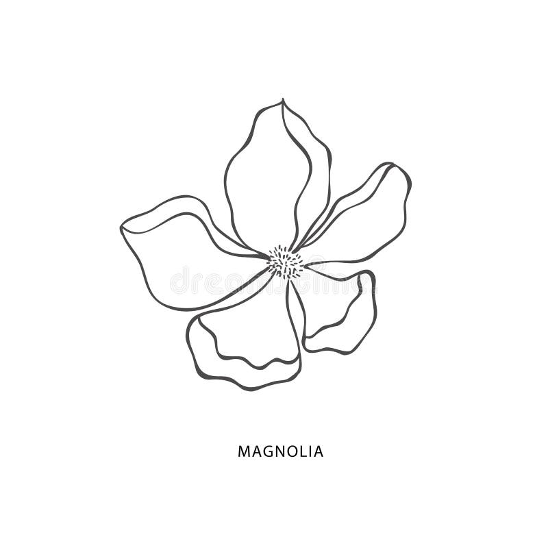 Magnolia Logo Stock Illustrations – 834 Magnolia Logo Stock ...