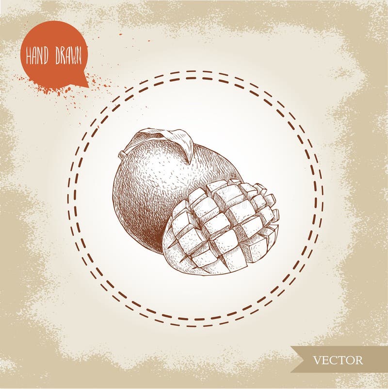 Hand Drawn Mango Fruit with Leaf and Mango Cubes. Sketch Style Vector ...
