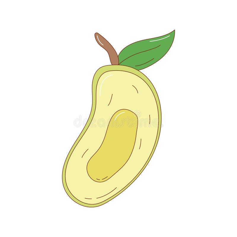 Hand Drawn Mango Fruit Vector Illustration. Creative Hand Drawn Fruit ...
