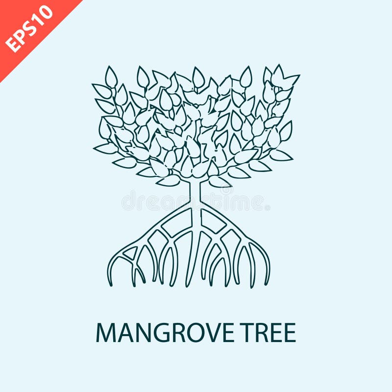 Mangrove Design Stock Illustrations – 775 Mangrove Design Stock ...