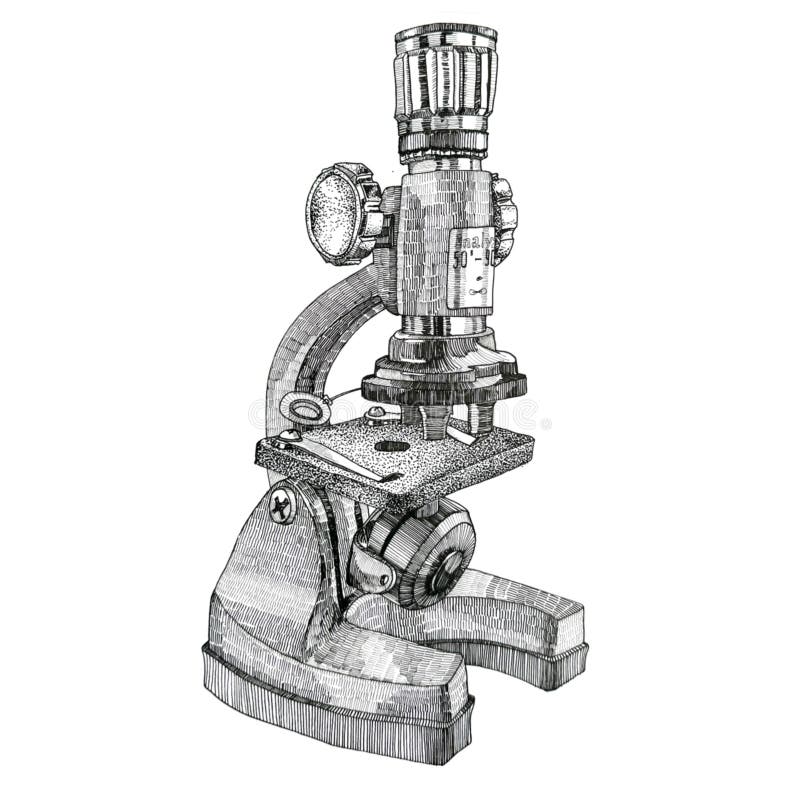 Hand Drawn Microscope Isolated on White Background Stock Illustration ...