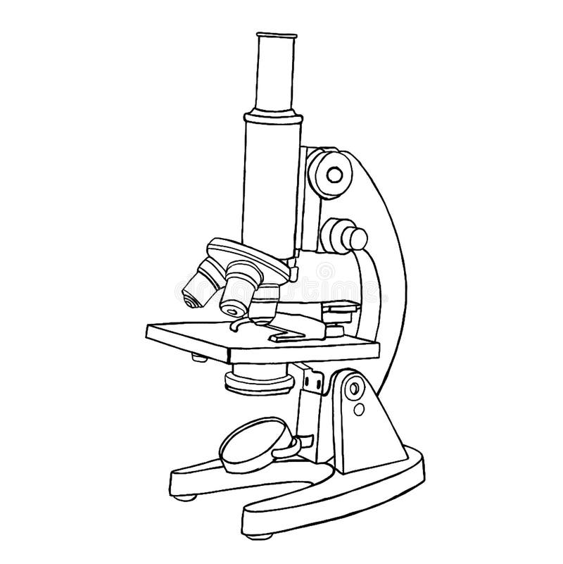 Hand Drawn Microscope Sketch Isolated on White Background. Stock ...