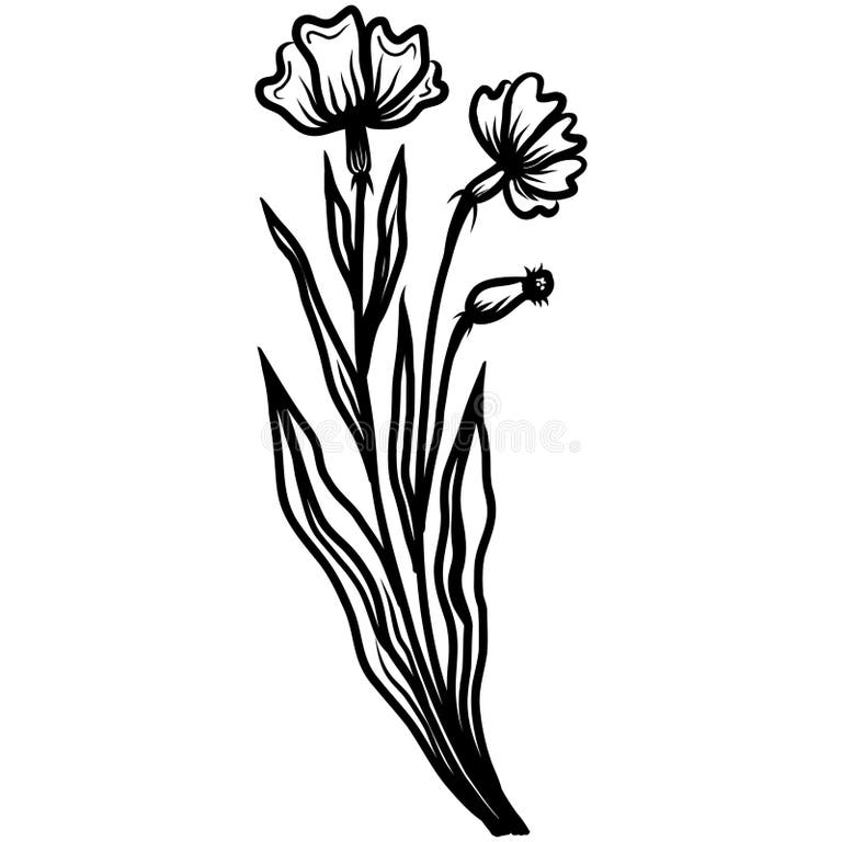 Hand Drawn Minimal Linear Vector Floral Pattern Stock Illustration ...