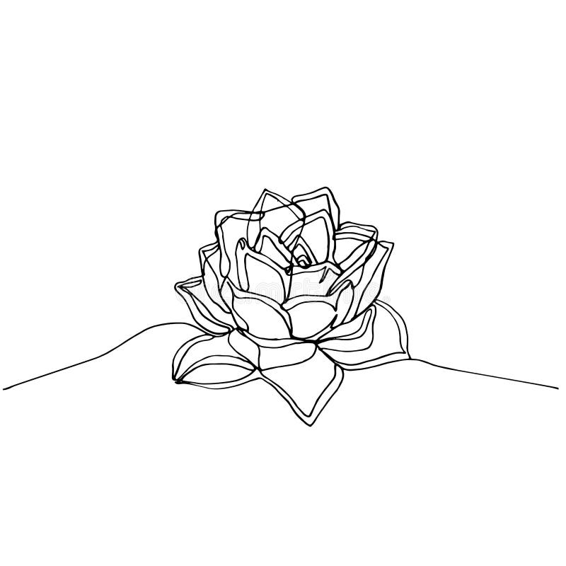 Succulent Line Art Stock Illustrations – 9,133 Succulent Line Art Stock ...