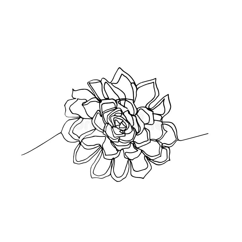 Succulent Line Drawing Stock Illustrations – 3,580 Succulent Line ...