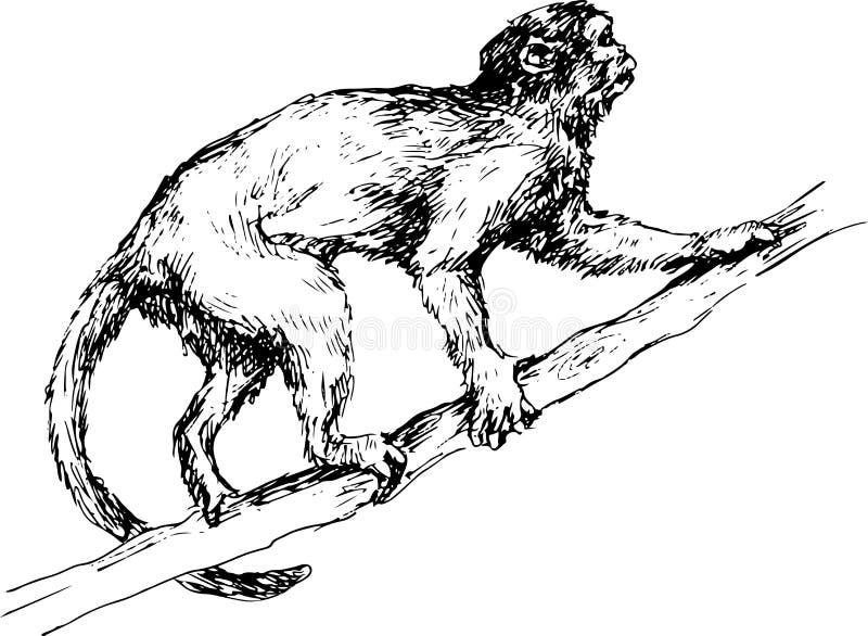 Ethnic ornamented monkey stock illustration. Illustration of decor ...