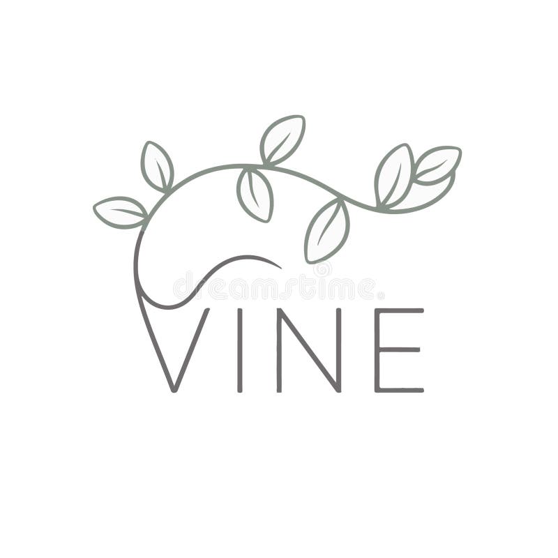 Hand-Drawn Nature Floral Vine Line Divider for Text in Illustration ...