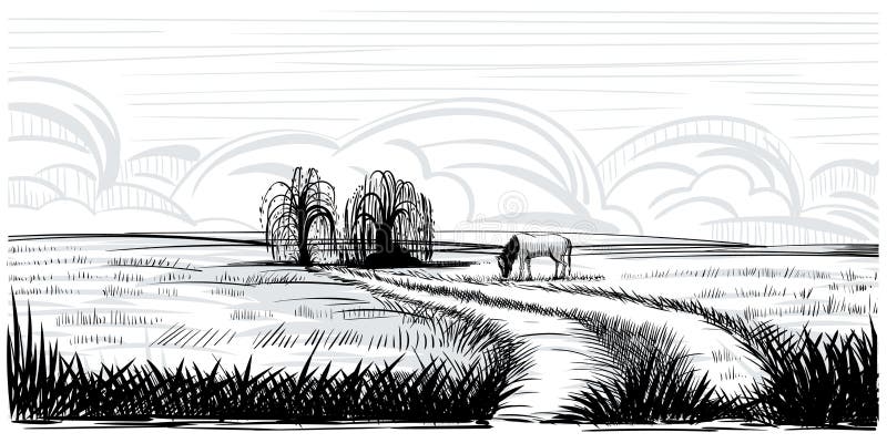 Hand Drawn Nature Landscape. Vector Graphics. Stock Vector ...