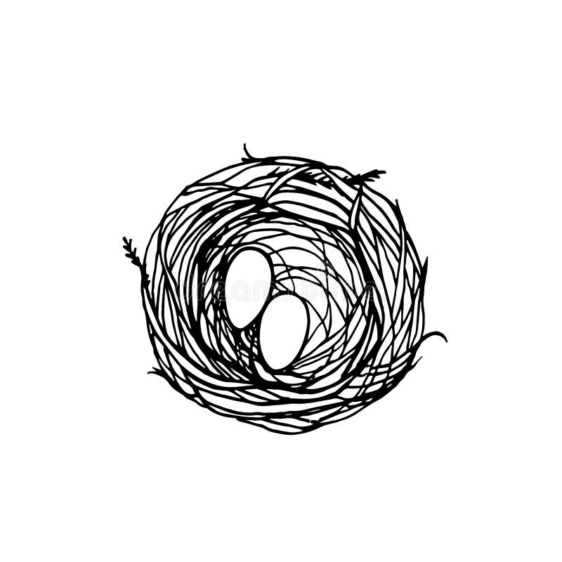 Hand Drawn Nest Illustration Stock Vector - Illustration of fragile ...