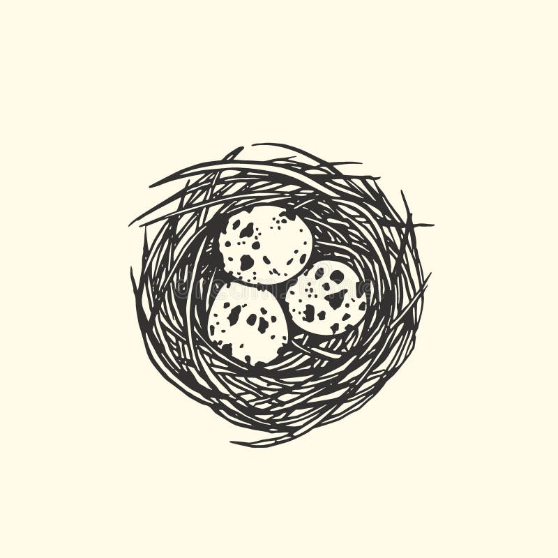 Hand Drawn Nest Illustration Stock Vector - Illustration of shell, cozy ...