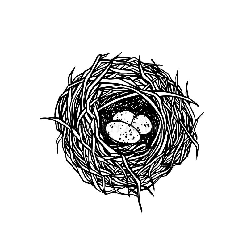 Simple bird nest with eggs stock illustration. Illustration of eggs ...