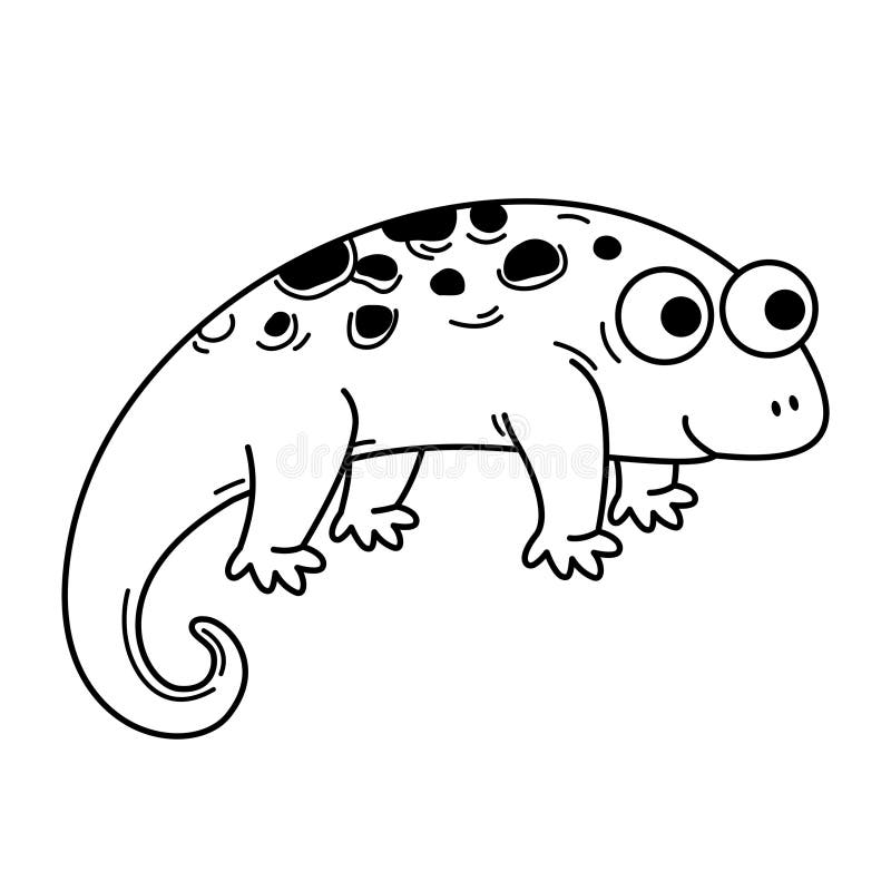 Hand Drawn Newt Character Illustration Stock Vector - Illustration of ...