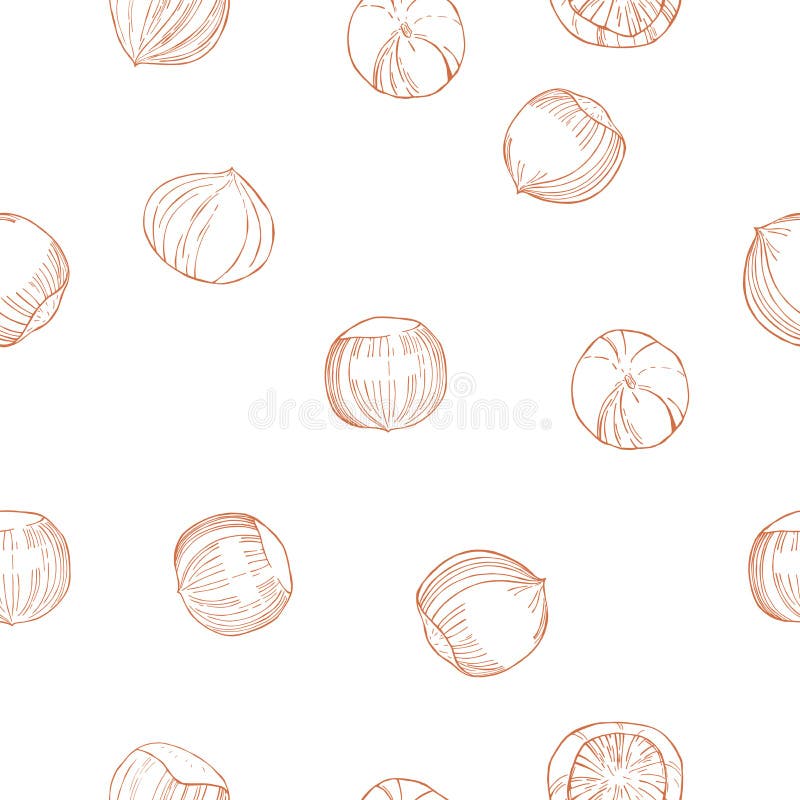 Cashew Nuts . Seamless Pattern. Outline Hand Drawn Stock Illustration ...