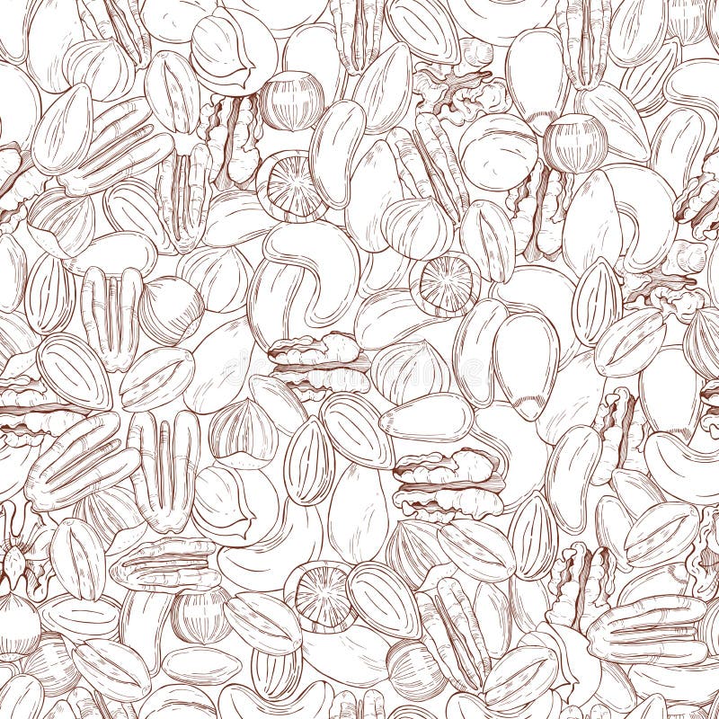 Hand Drawn Nuts. Vector Pattern Stock Vector - Illustration of gourmet ...