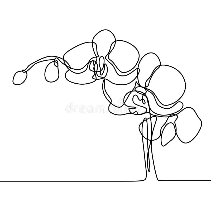 Orchid Drawing Stock Illustrations 13 088 Orchid Drawing Stock